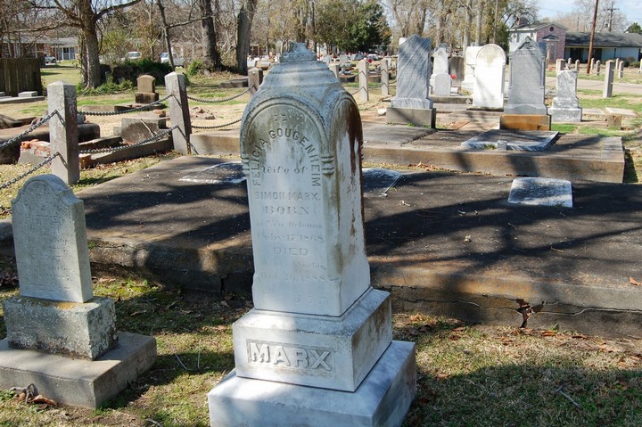 Pictures by Paul Moline