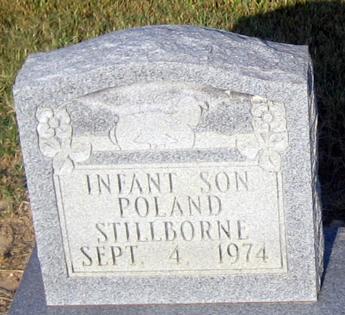 Pictures by Martin Gauthier